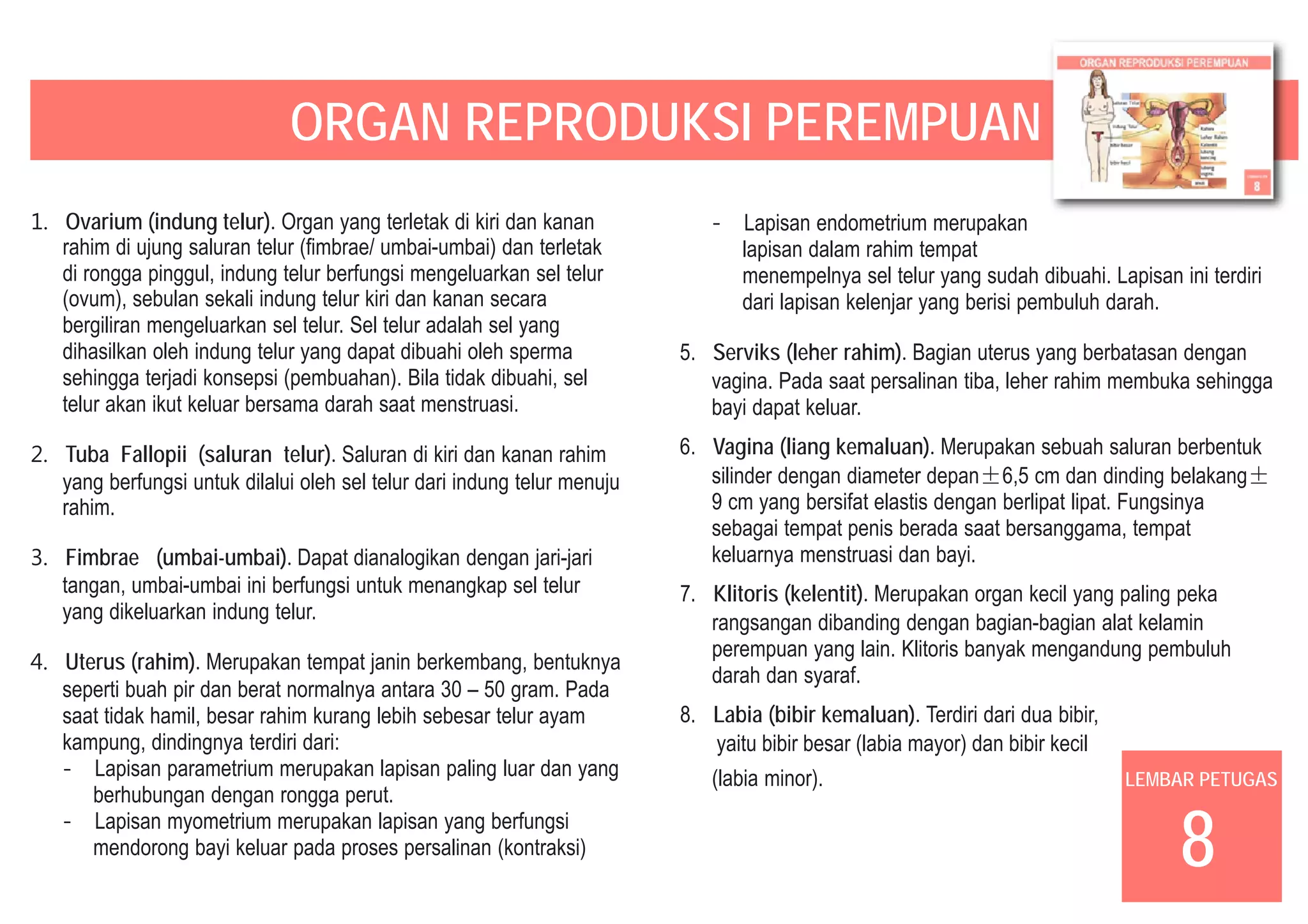LEMBAR BALIK KESPRO DAN SEKSUAL BAGI CATIN.pdf