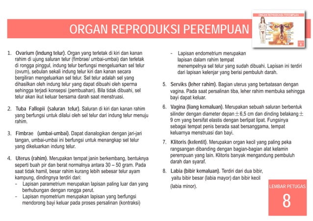 LEMBAR BALIK KESPRO DAN SEKSUAL BAGI CATIN.pdf