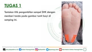 Lembar Tugas Sampling DBS SHK - PKM Guntung HSU.pptx