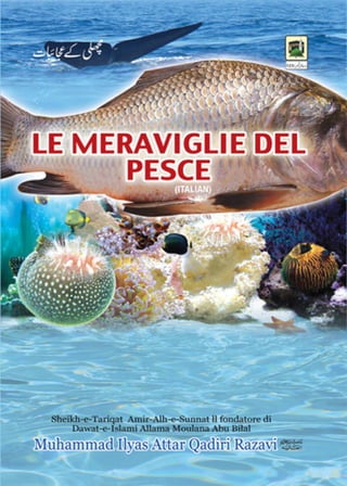 Le meraviglie del pesce | PDF