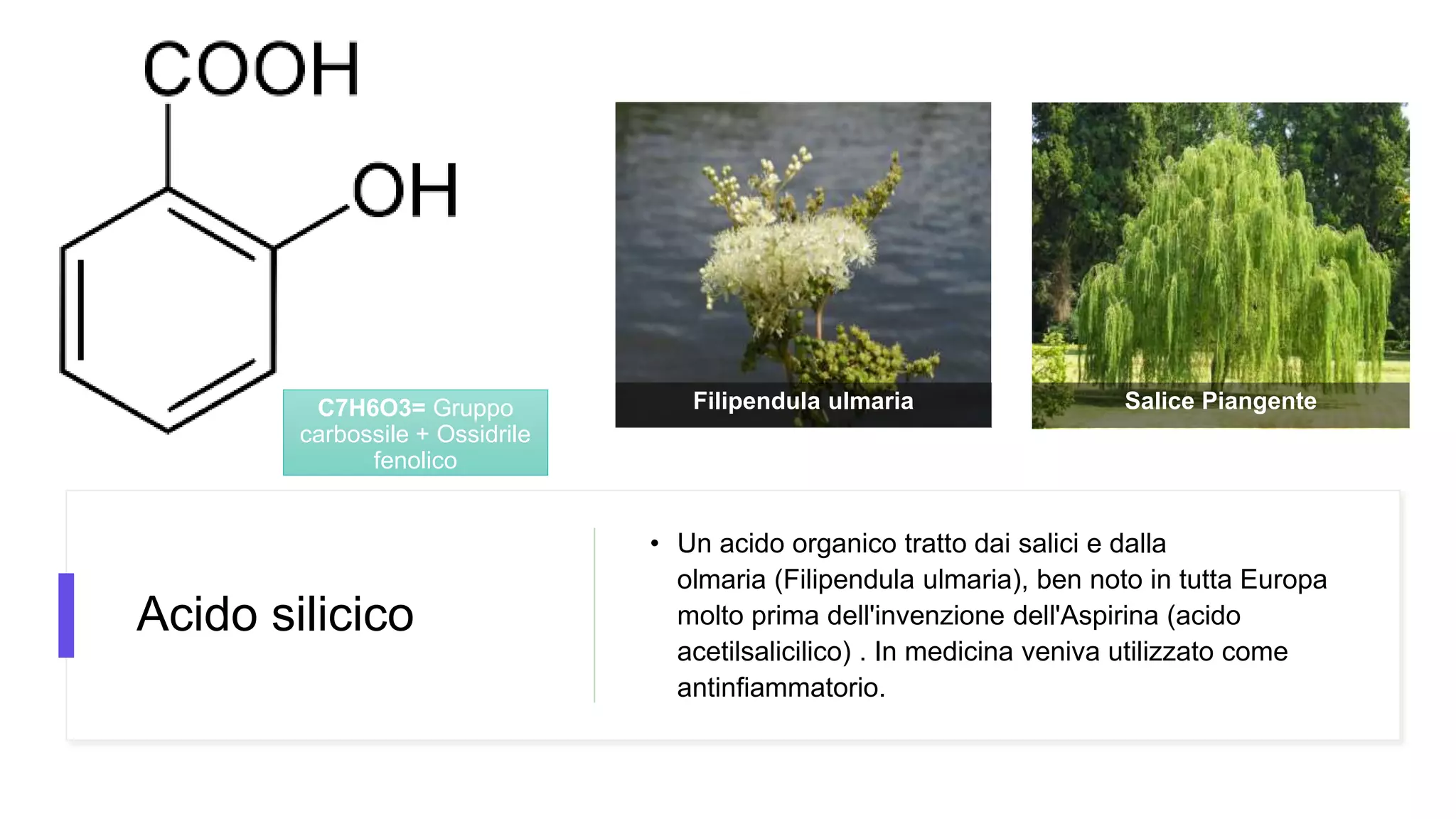 Le molecole della stregoneria 1 1 | PPTX