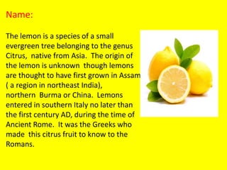 Lemon | PPTX
