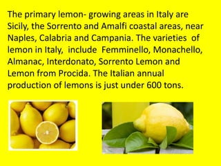 Lemon | PPTX