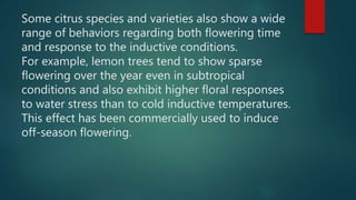 Breeding of Lemon | PPTX