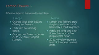 Breeding of Lemon | PPTX