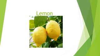 Lemon | PPTX