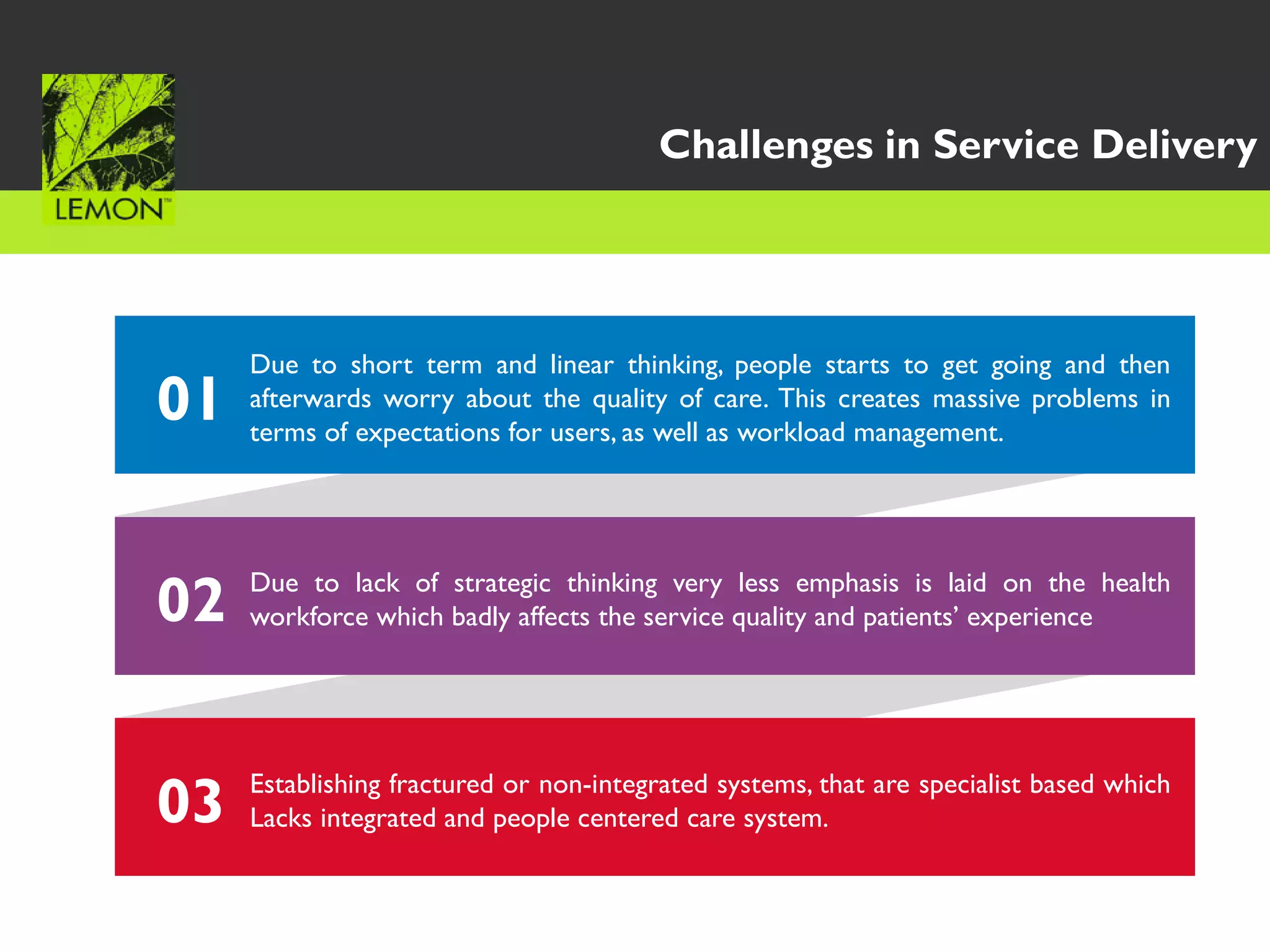 Lemon-RSM Presentation On Quality & Safety In Healthcare | PDF