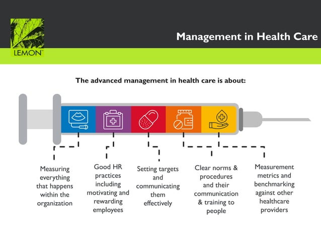 Lemon-RSM Presentation On Quality & Safety In Healthcare | PDF