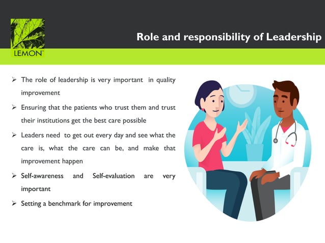 Lemon-RSM Presentation On Quality & Safety In Healthcare | PDF