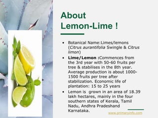 Lemon trade-opportunities | PPTX