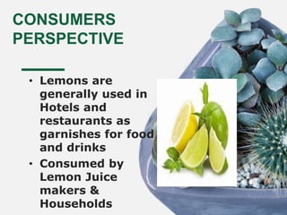 Lemon trade-opportunities | PPTX