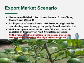 Lemon trade-opportunities | PPTX