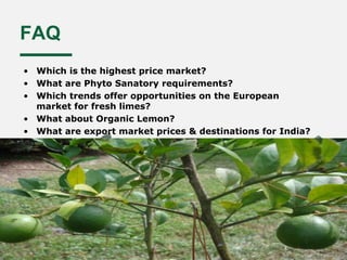 Lemon trade-opportunities | PPTX