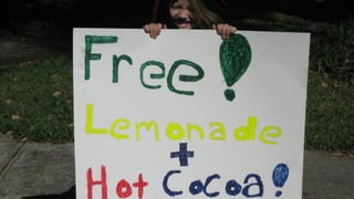 Lessons from the Lemonade Stand | PDF