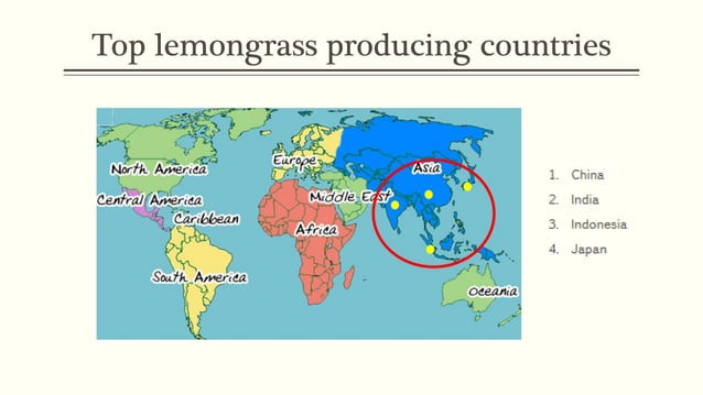 Spice as Medicine: Lemongrass, Genus: Cymbopogan | PDF | Perfume and ...