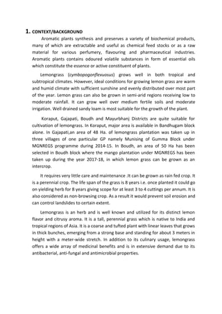 Lemon Grass Project.pdf
