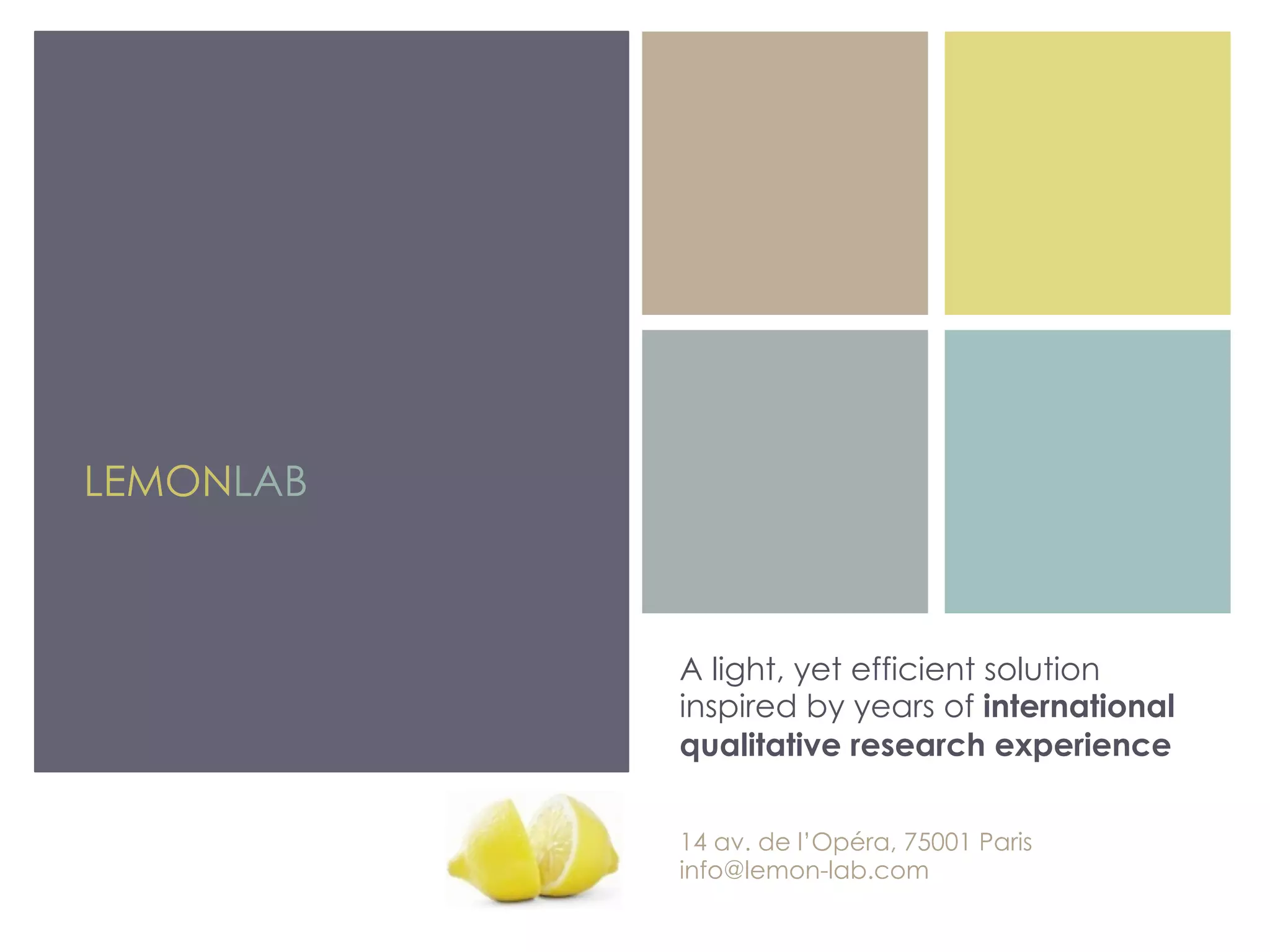 Lemon Lab Brochure 12 | PDF