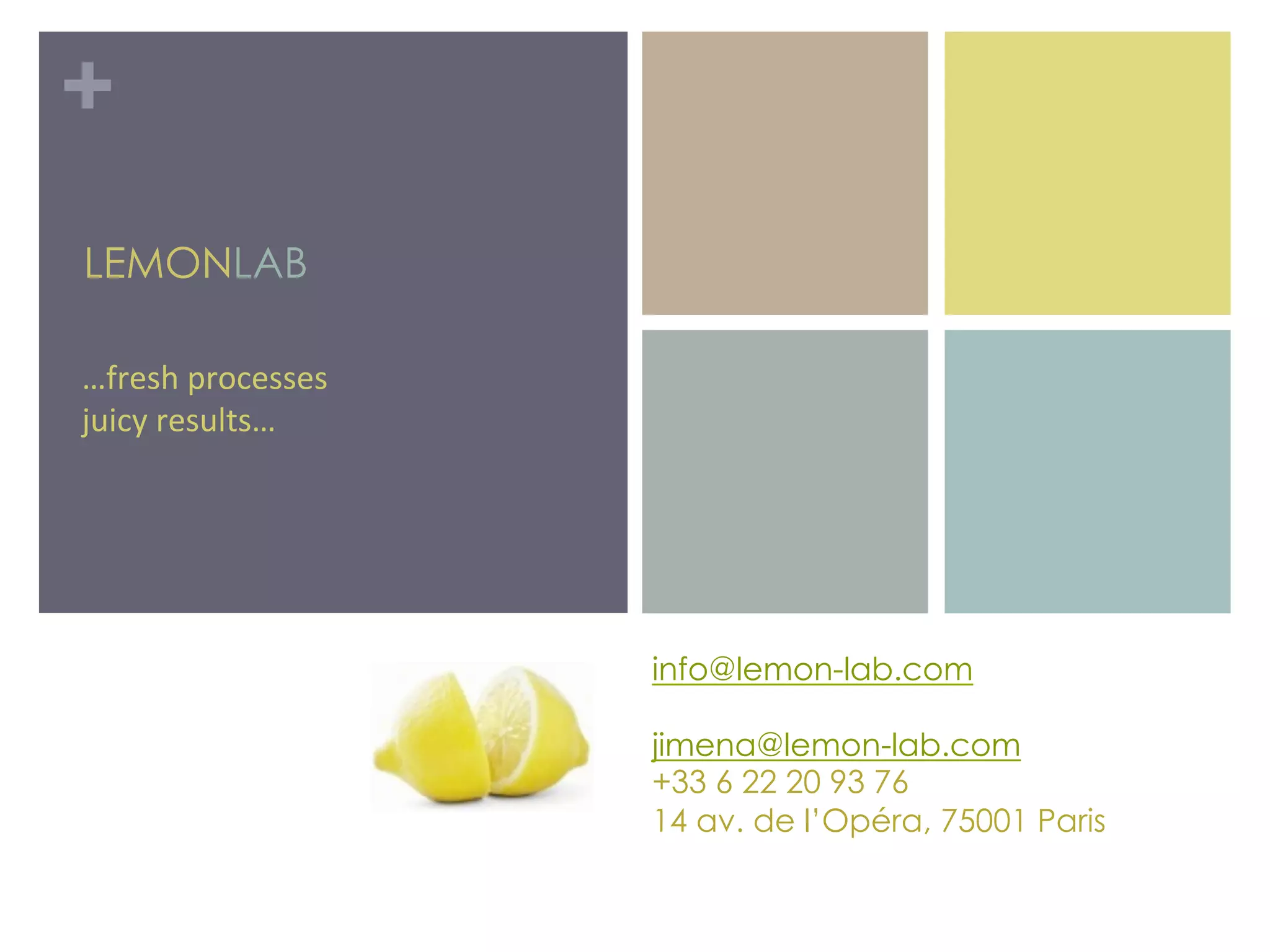 Lemon Lab Brochure 12 | PDF