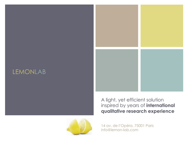 Lemon Lab Brochure 12 | PPT