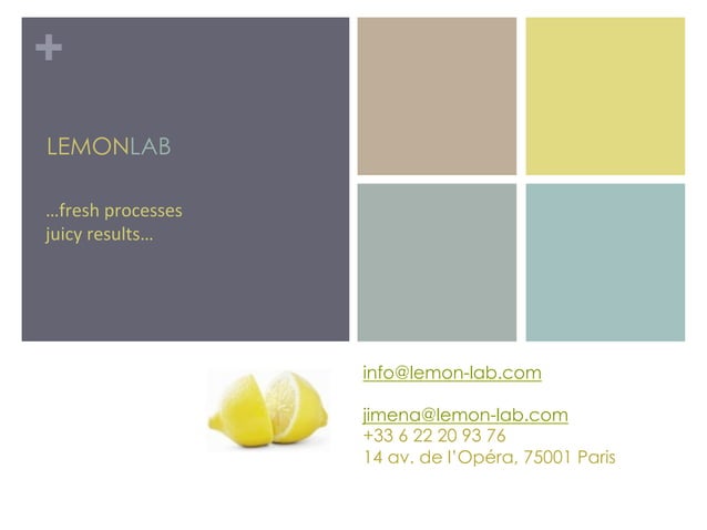 Lemon Lab Brochure 12 | PPT