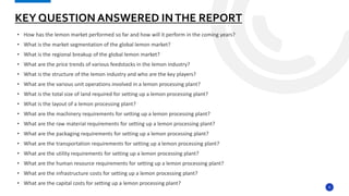 Lemon Processing Plant Project Report.pptx