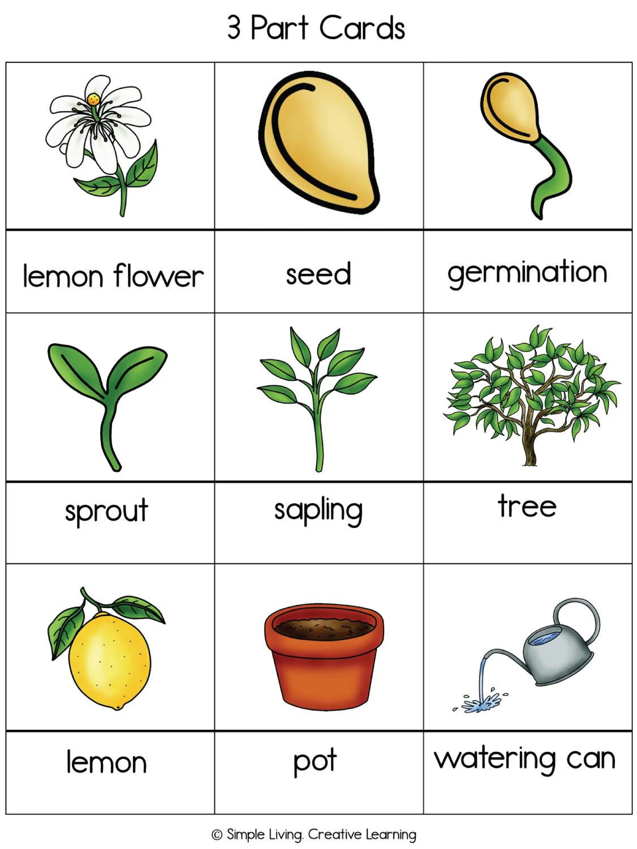 Lemon Tree Life Cycle Printable Pack A.pdf