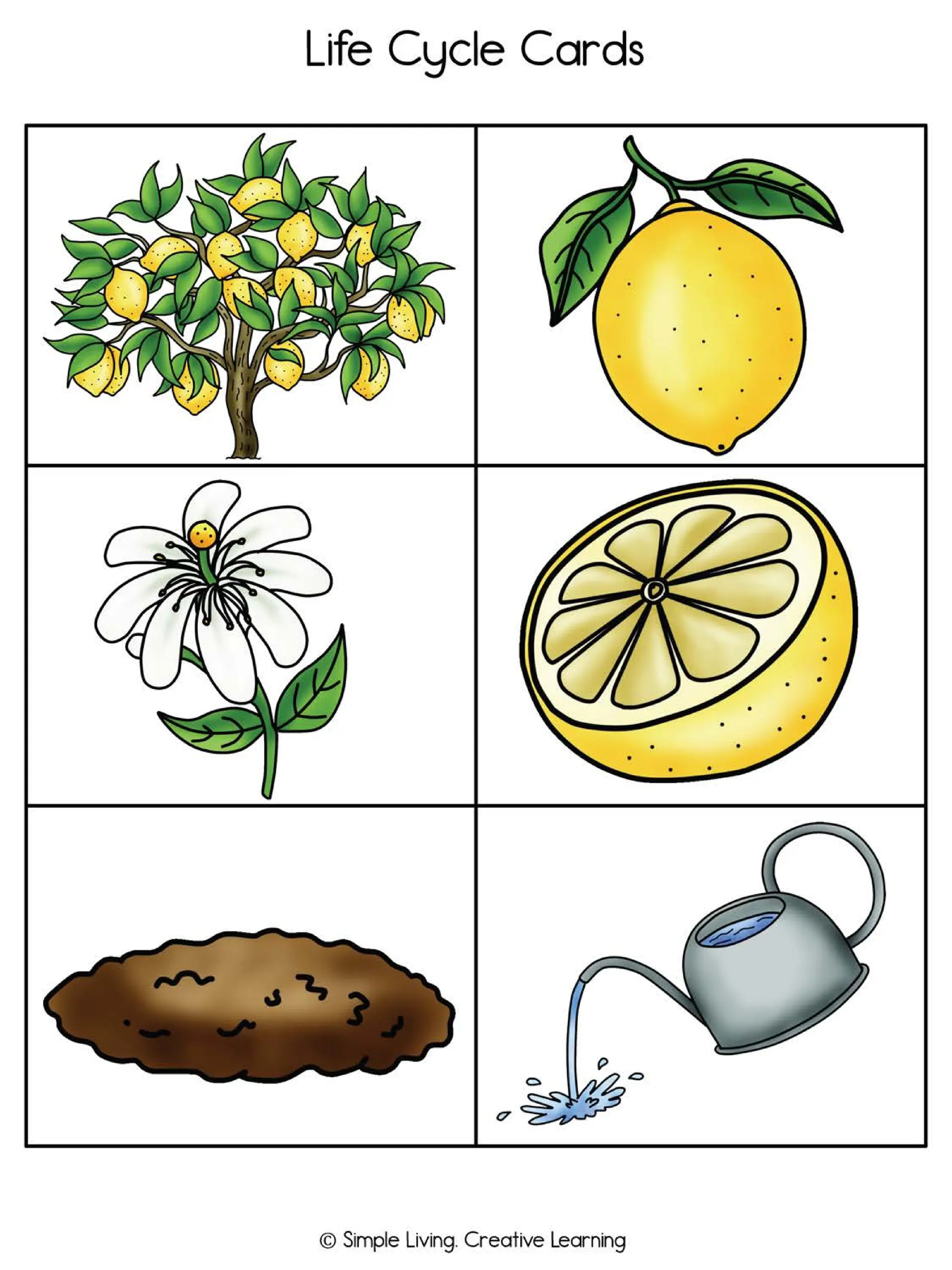 Lemon Tree Life Cycle Printable Pack A.pdf