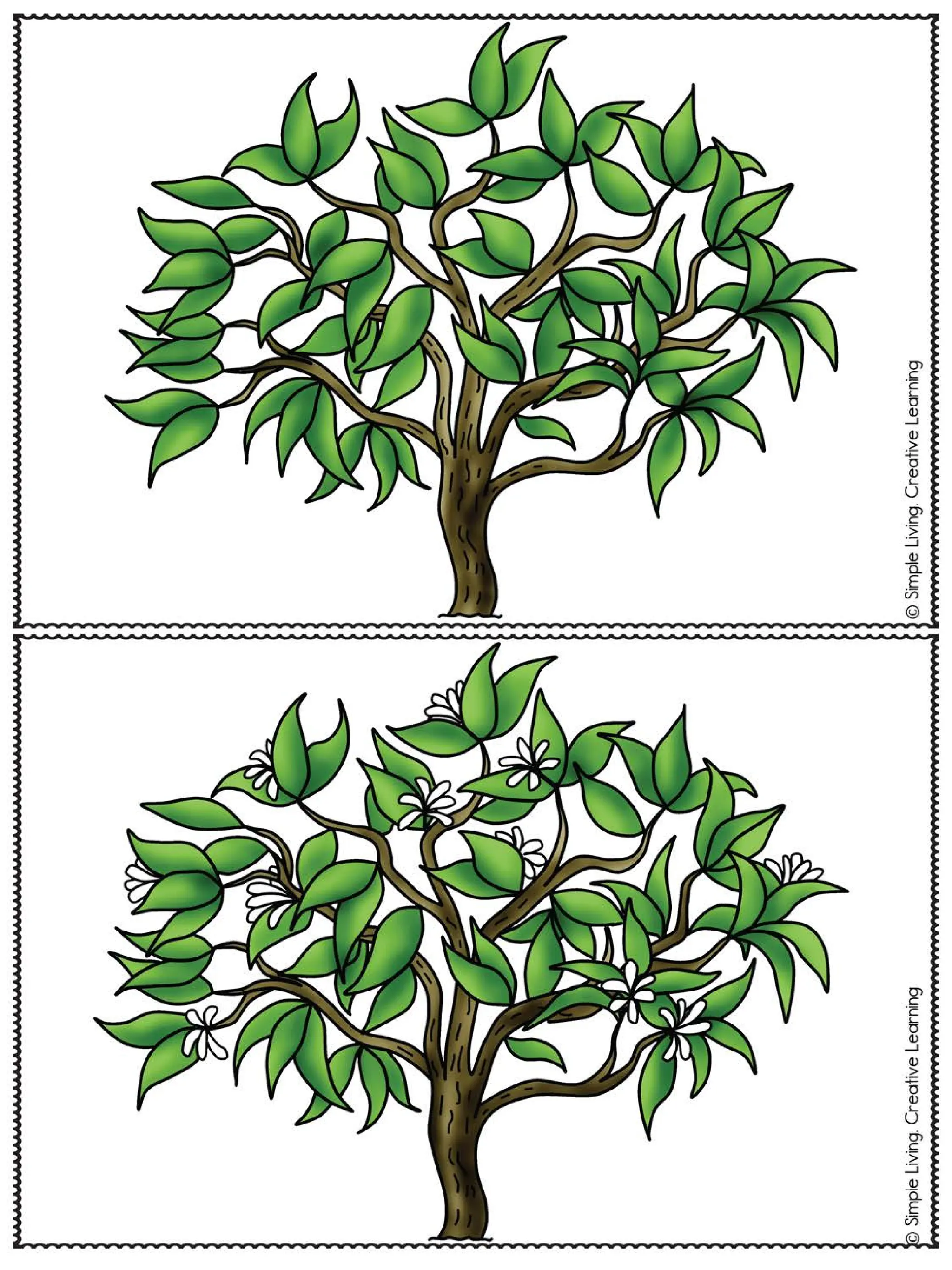 Lemon Tree Life Cycle Printable Pack A.pdf
