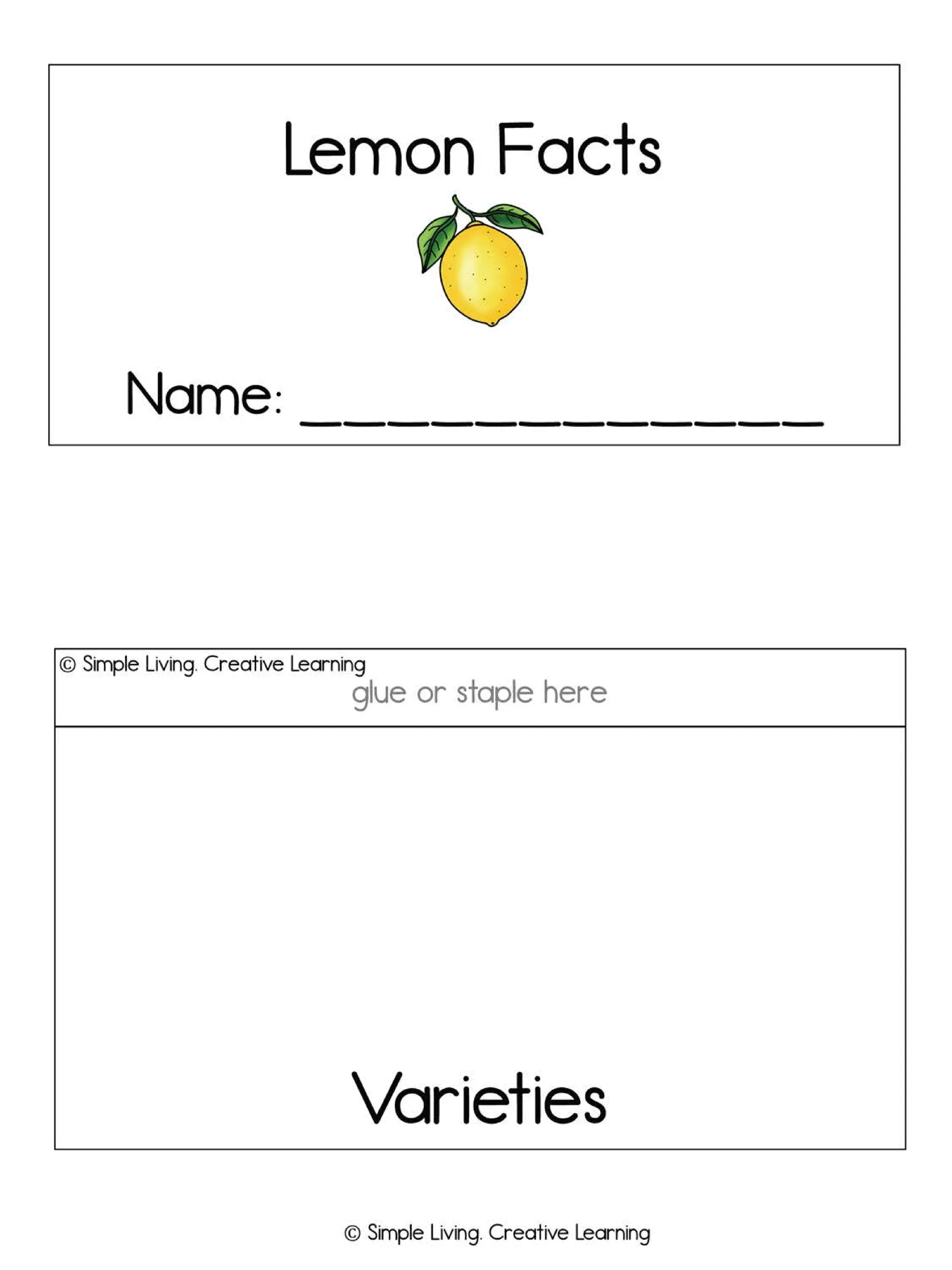 Lemon Tree Life Cycle Printable Pack A.pdf