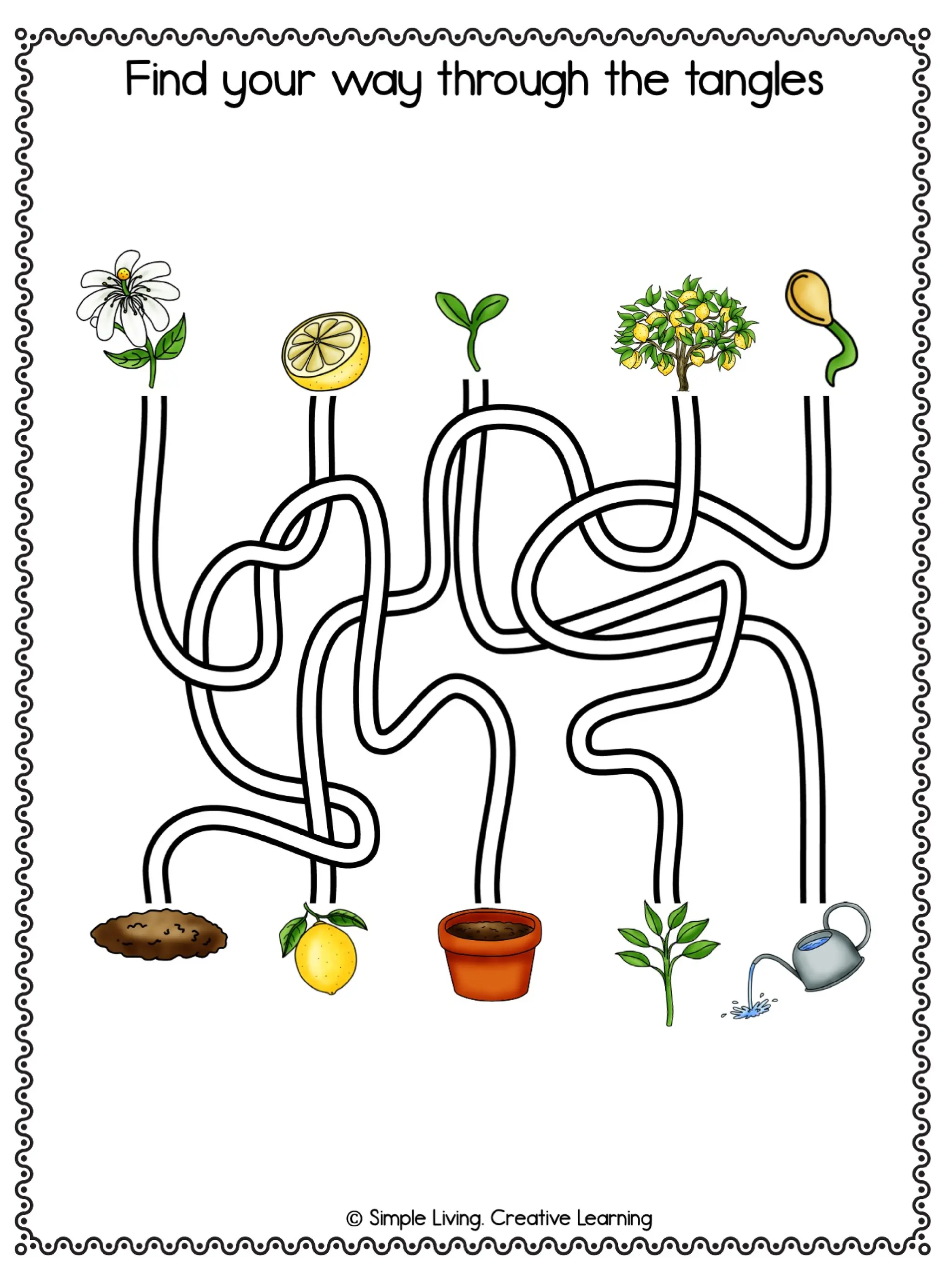 Lemon Tree Life Cycle Printable Pack A.pdf