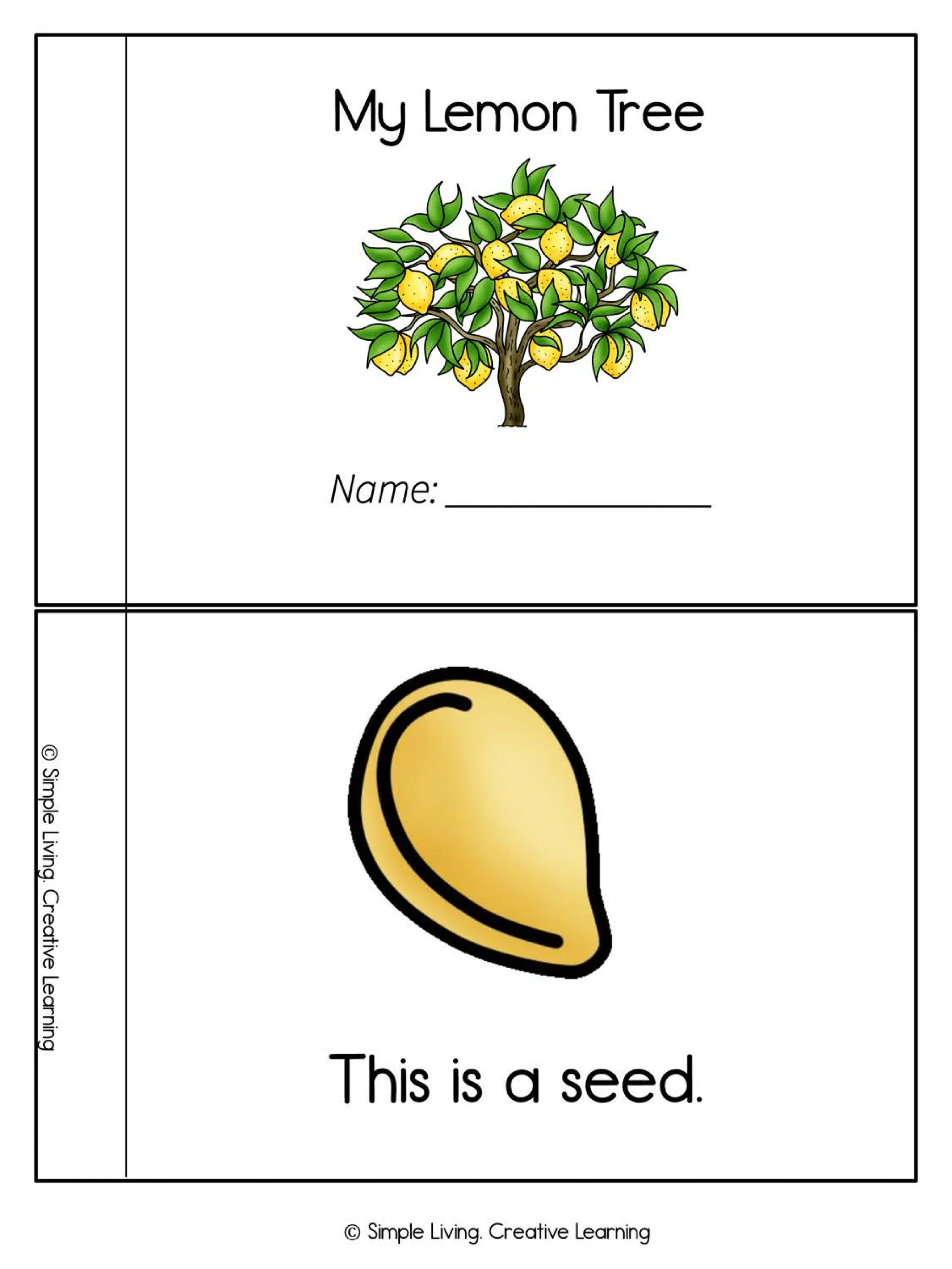 Lemon Tree Life Cycle Printable Pack A.pdf