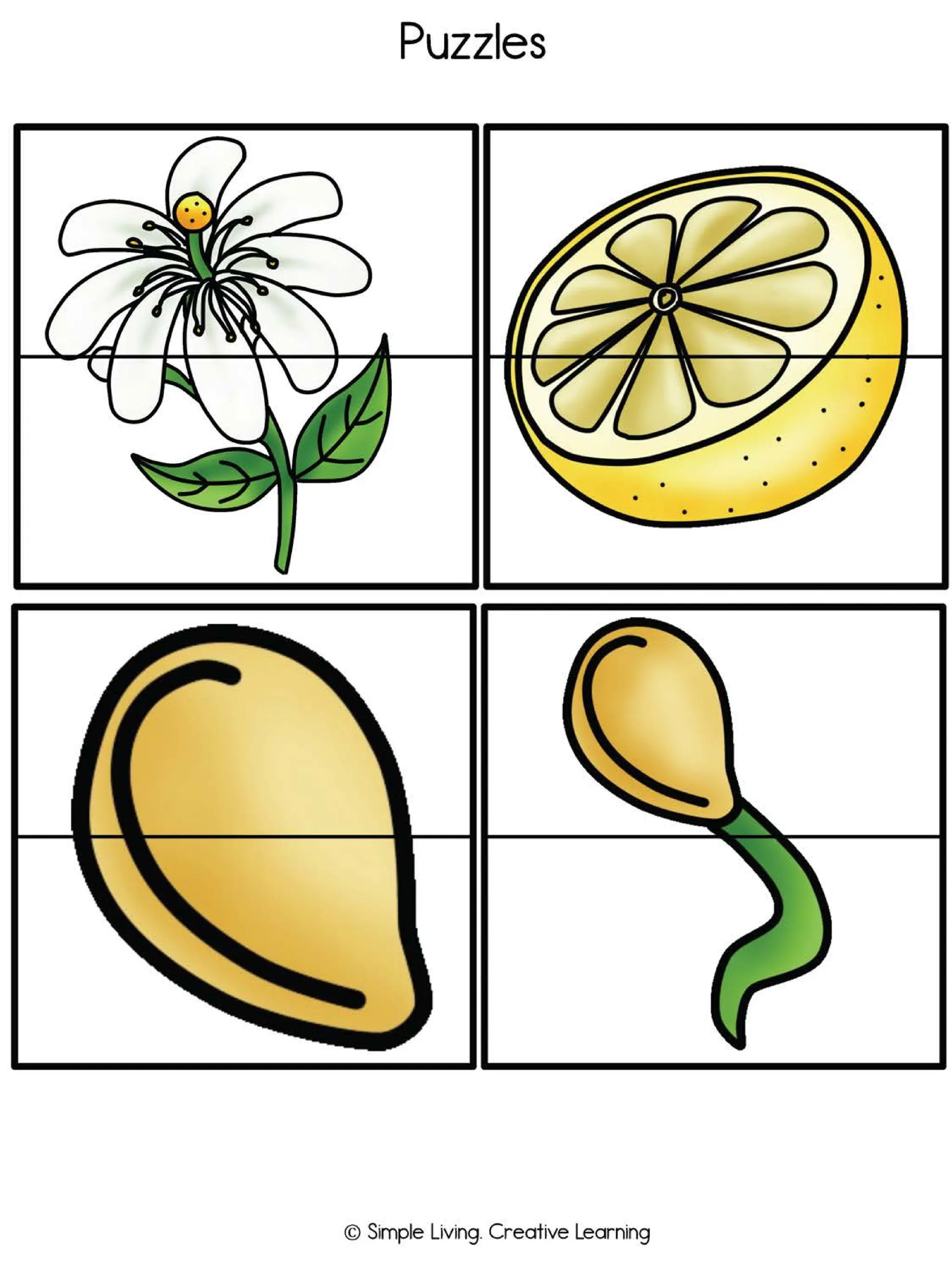 Lemon Tree Life Cycle Printable Pack A.pdf