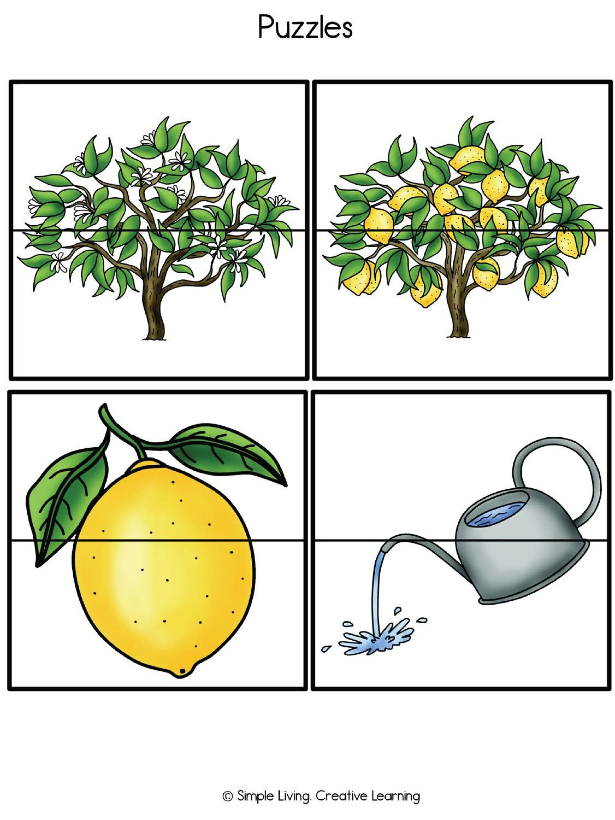 Lemon Tree Life Cycle Printable Pack A.pdf
