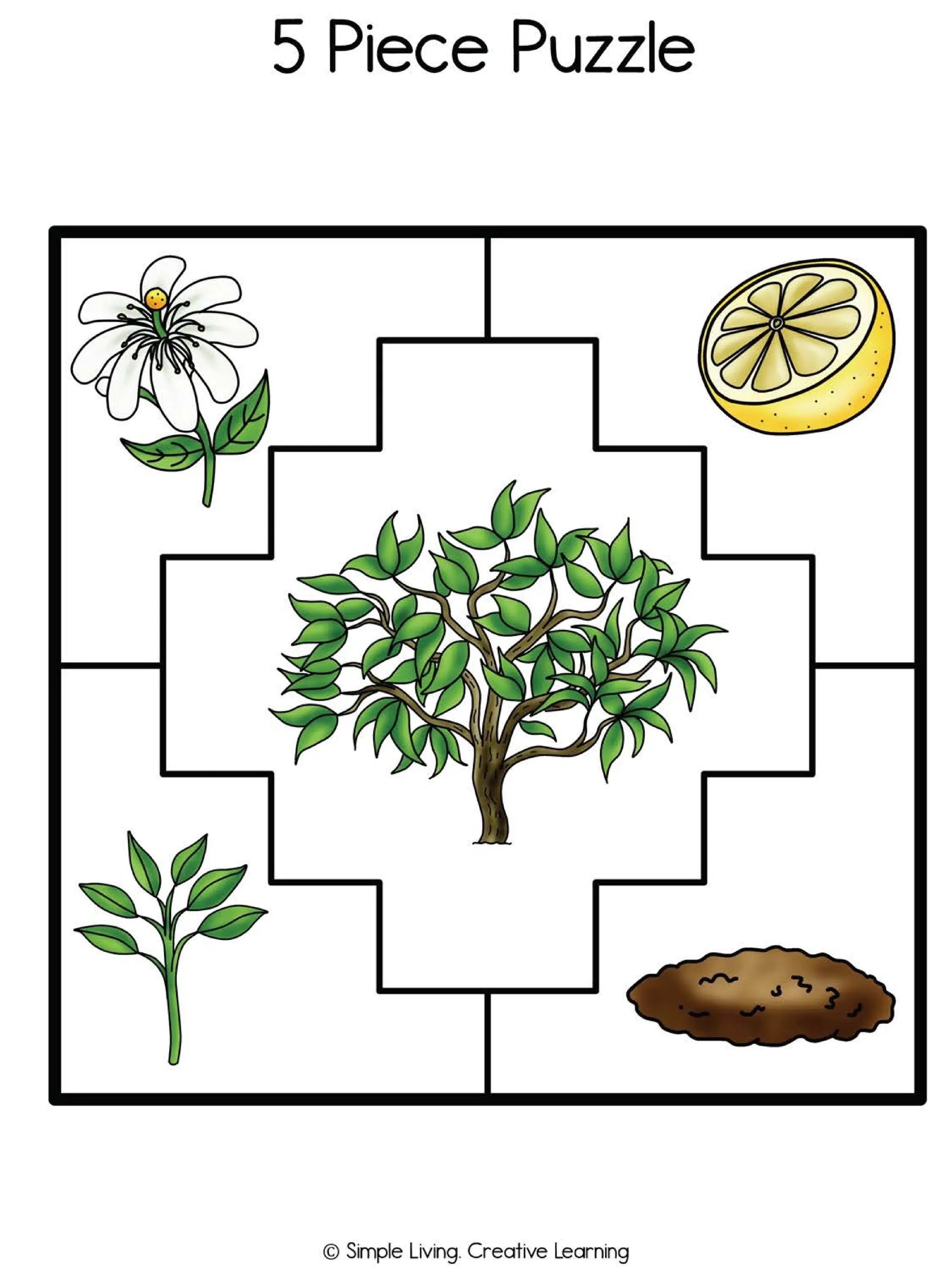 Lemon Tree Life Cycle Printable Pack A.pdf