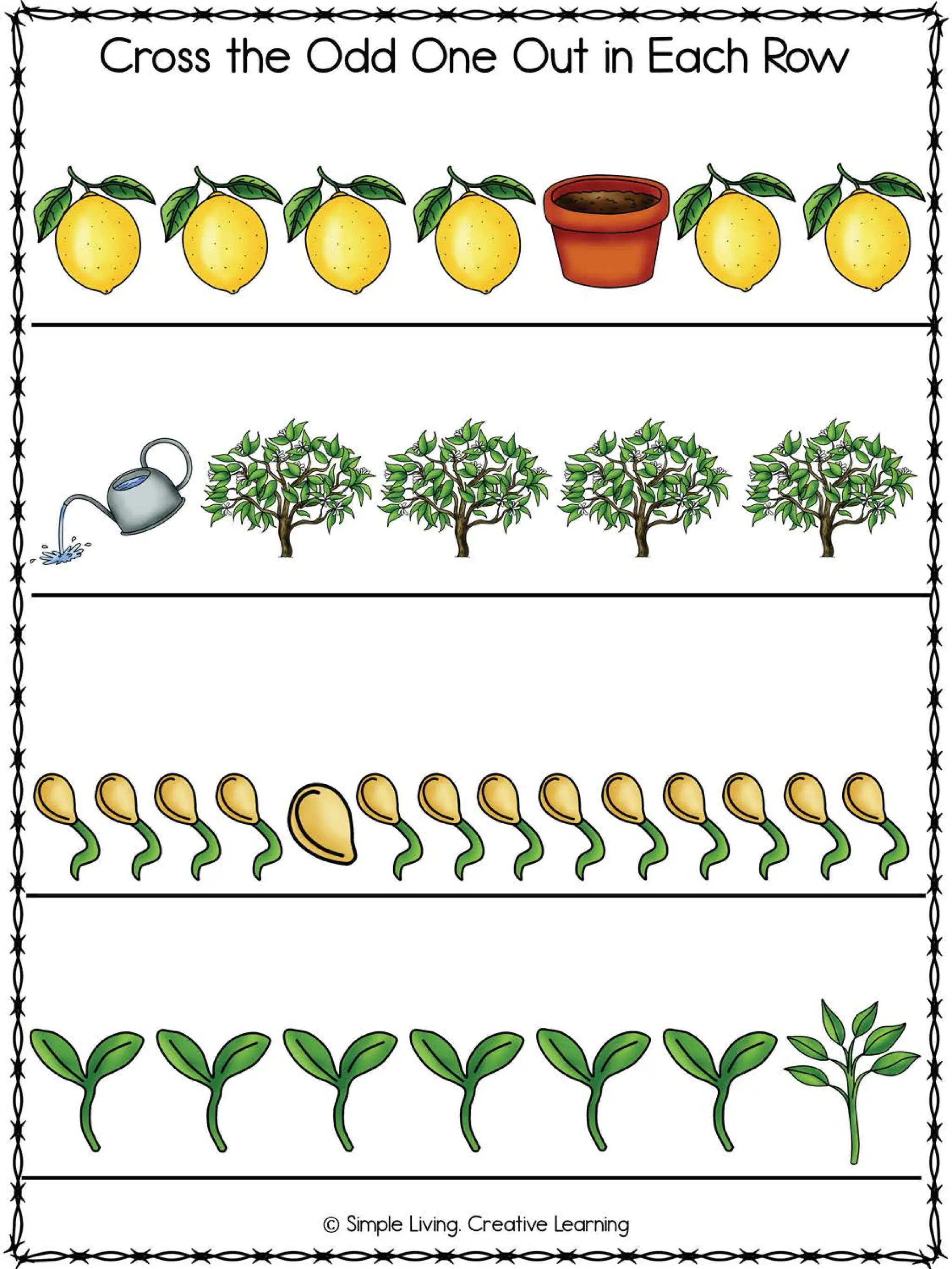 Lemon Tree Life Cycle Printable Pack A.pdf