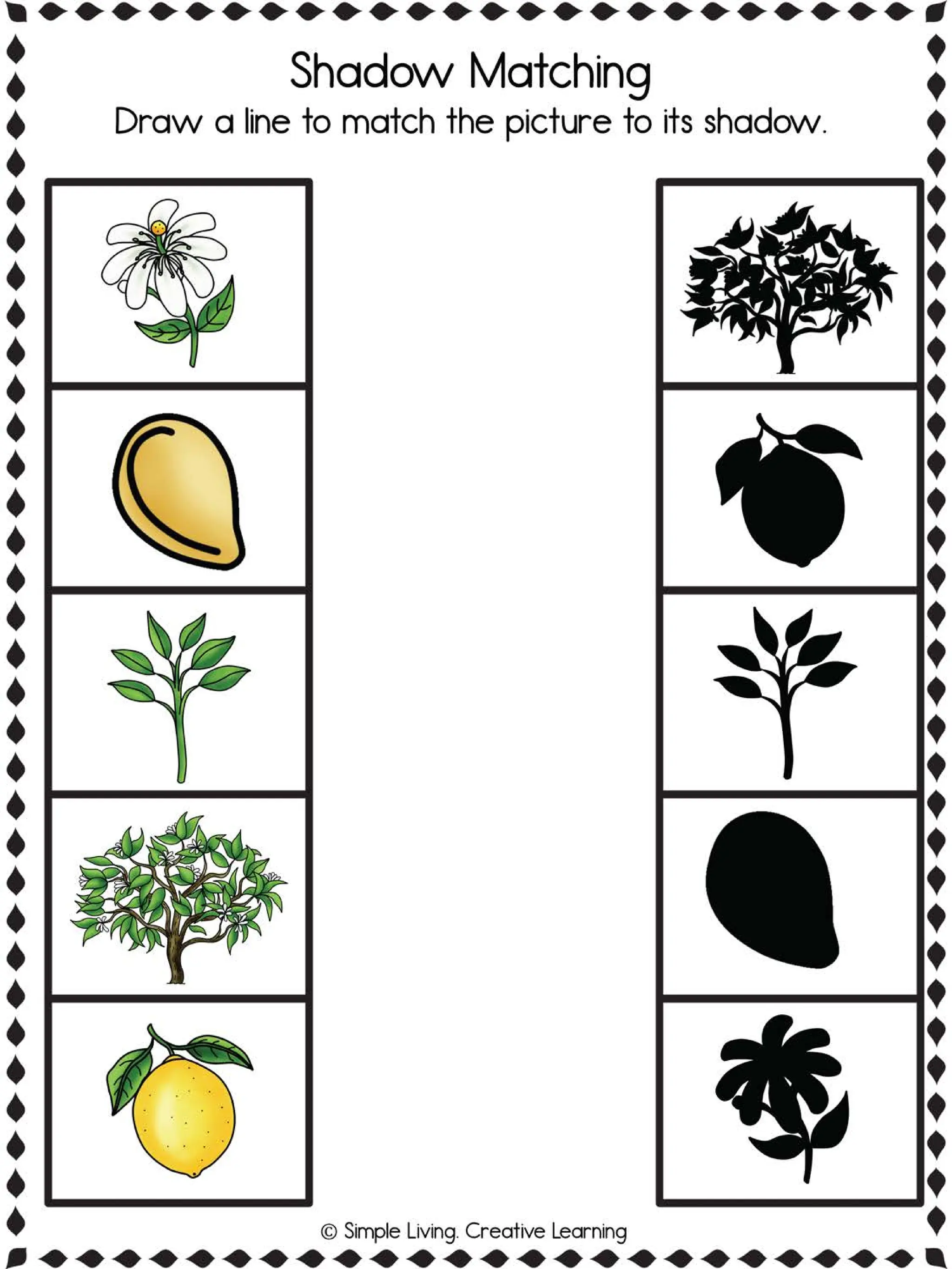 Lemon Tree Life Cycle Printable Pack A.pdf