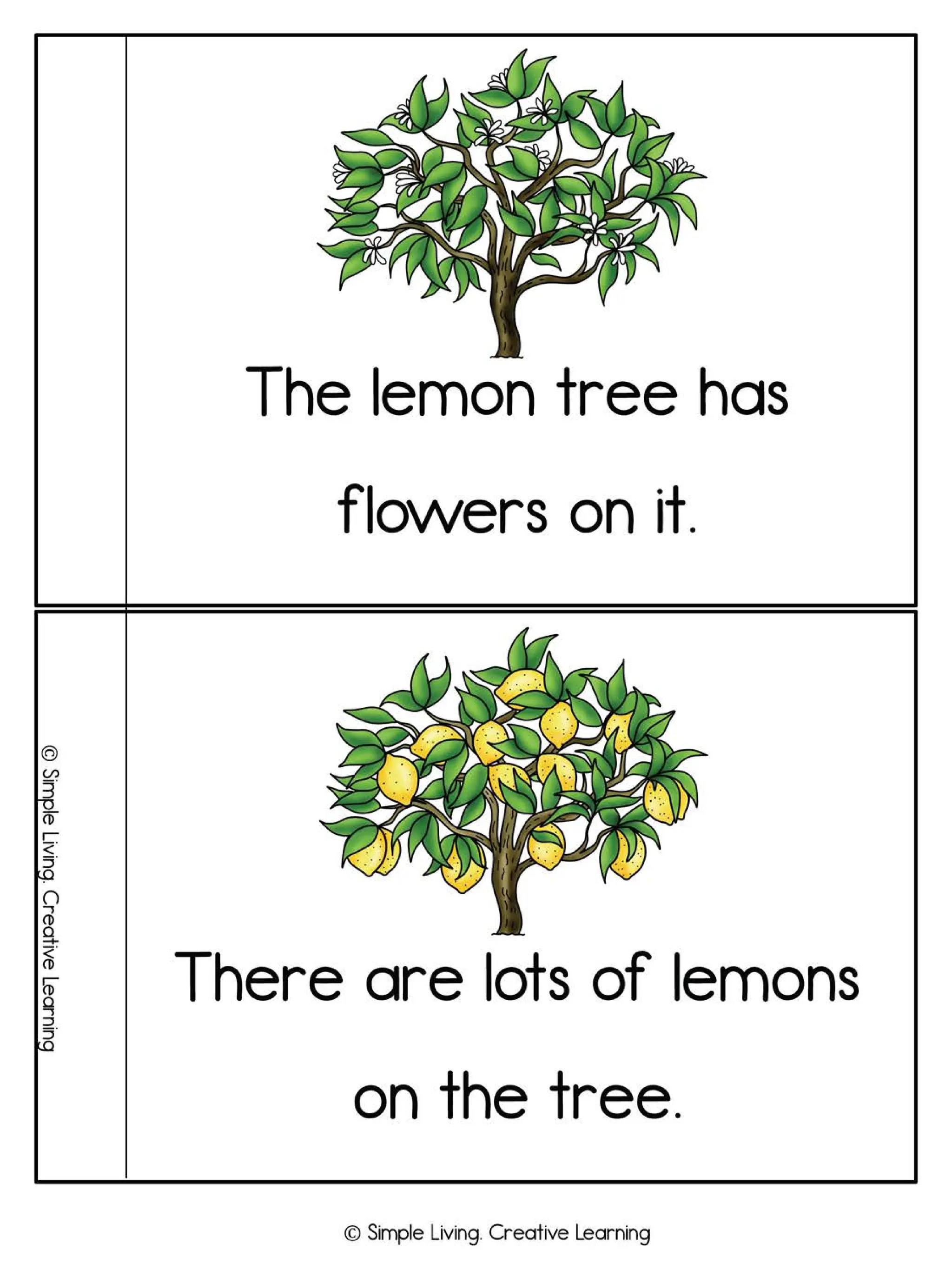 Lemon Tree Life Cycle Printable Pack A.pdf