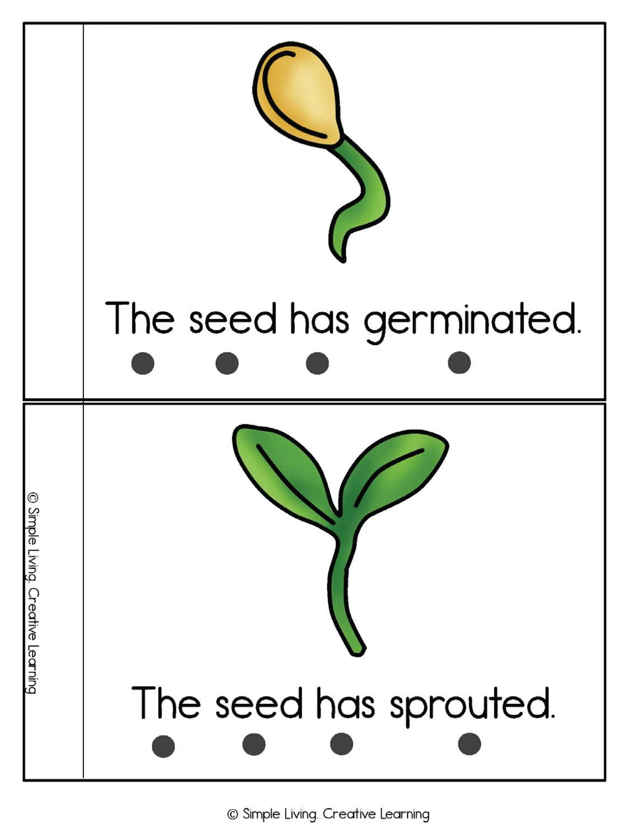 Lemon Tree Life Cycle Printable Pack A.pdf