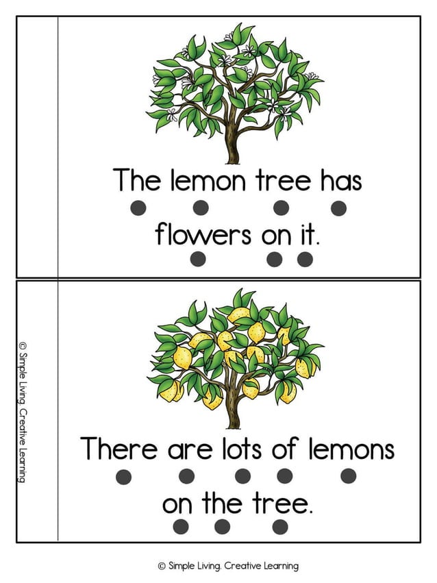 Lemon Tree Life Cycle Printable Pack A.pdf