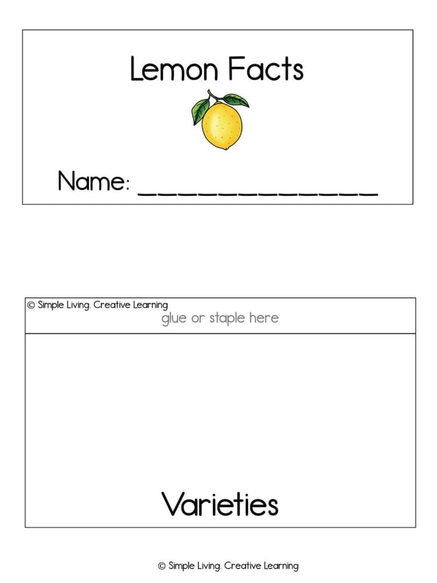 Lemon Tree Life Cycle Printable Pack A.pdf