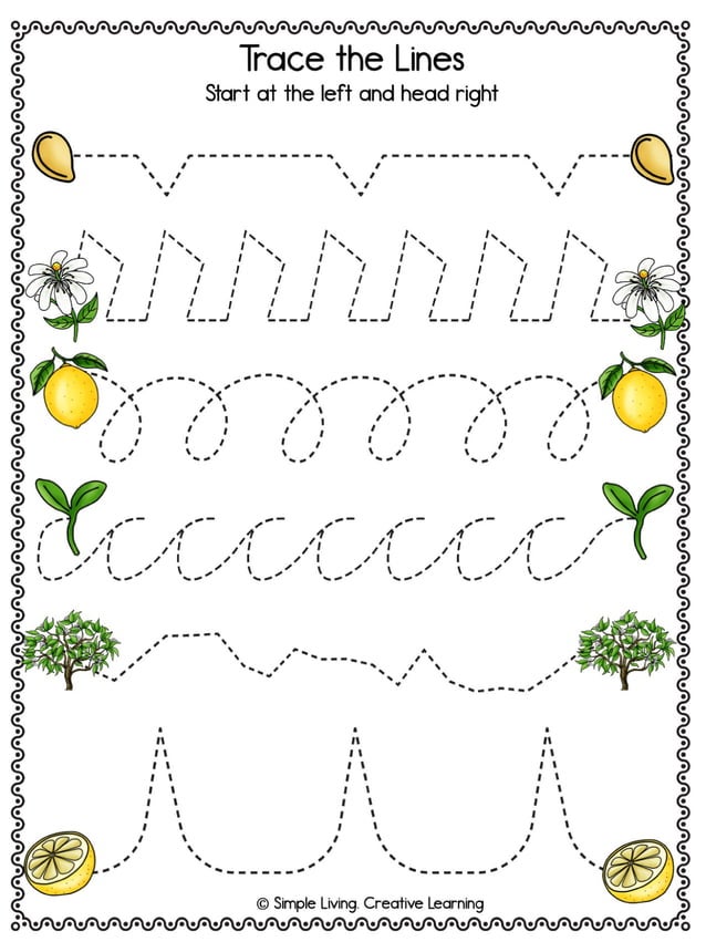 Lemon Tree Life Cycle Printable Pack A.pdf