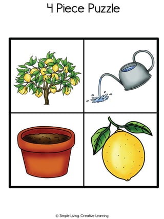Lemon Tree Life Cycle Printable Pack A.pdf