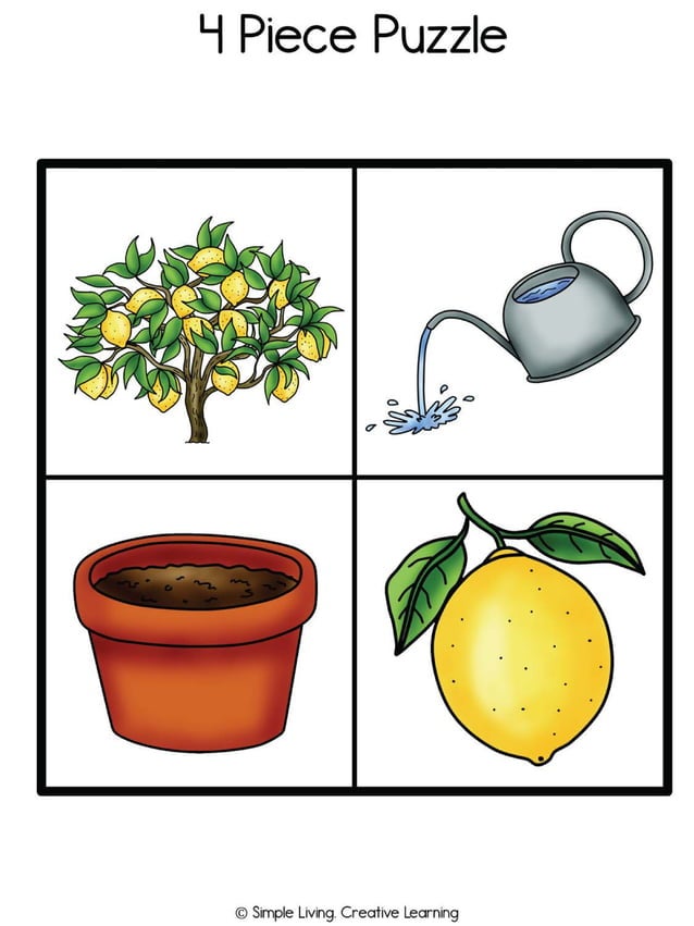 Lemon Tree Life Cycle Printable Pack A.pdf