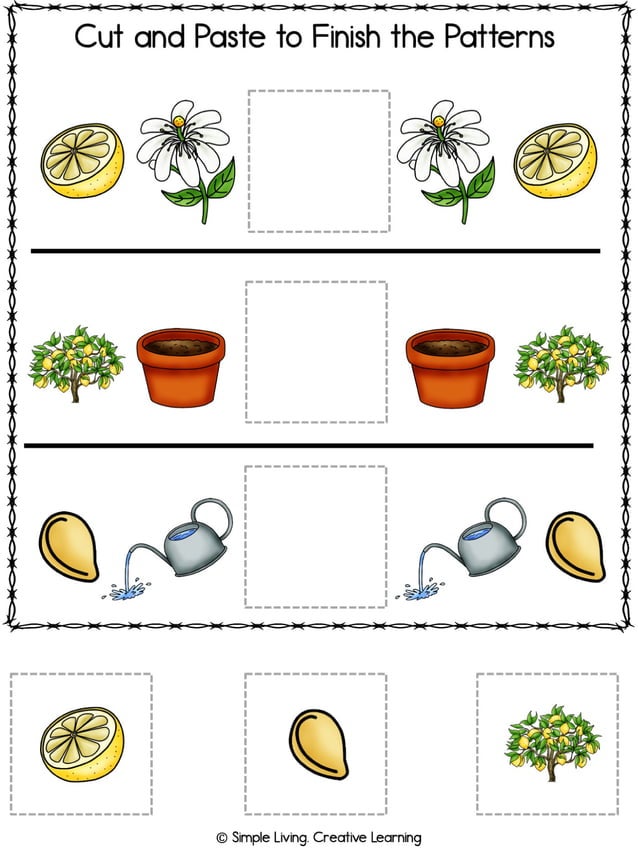 Lemon Tree Life Cycle Printable Pack A.pdf