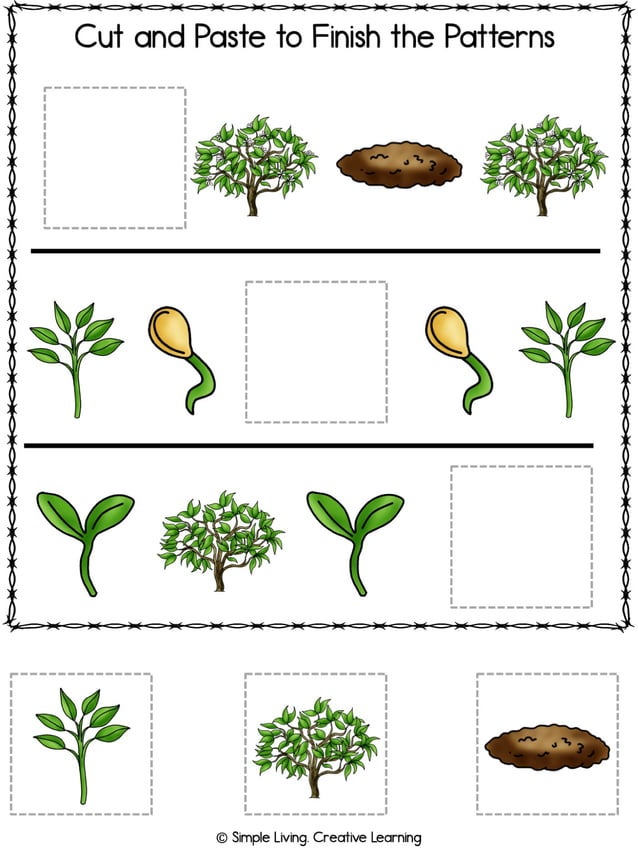 Lemon Tree Life Cycle Printable Pack A.pdf