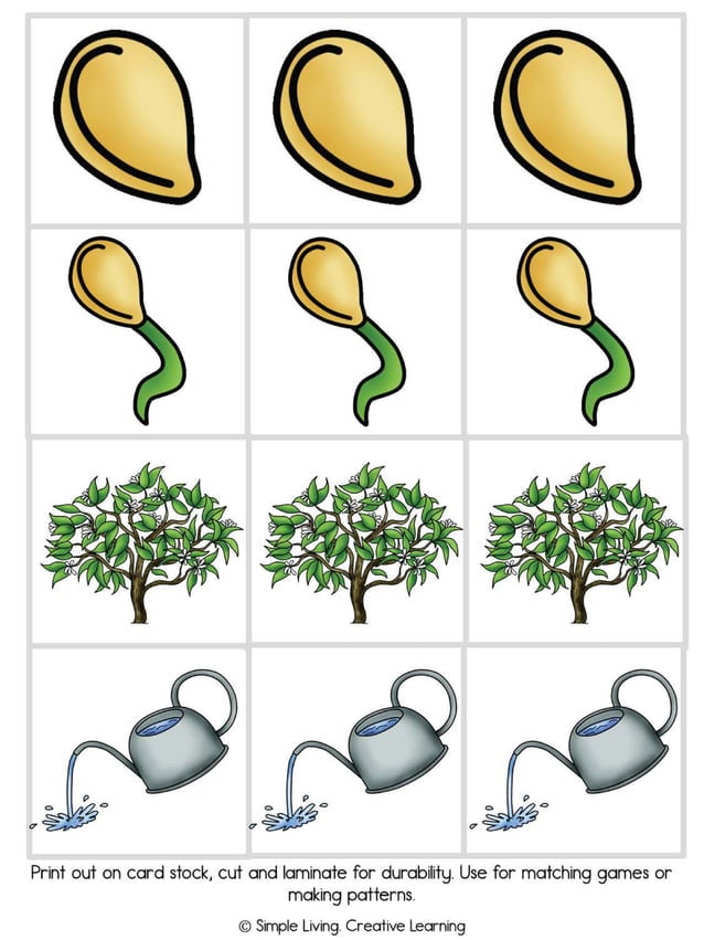 Lemon Tree Life Cycle Printable Pack A.pdf