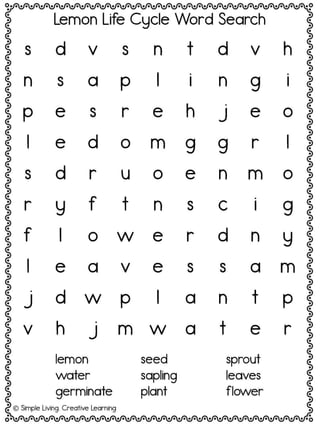 Lemon Tree Life Cycle Printable Pack A.pdf