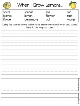 Lemon Tree Life Cycle Printable Pack A.pdf