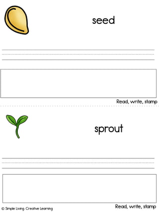 Lemon Tree Life Cycle Printable Pack A.pdf