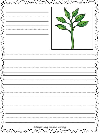 Lemon Tree Life Cycle Printable Pack A.pdf